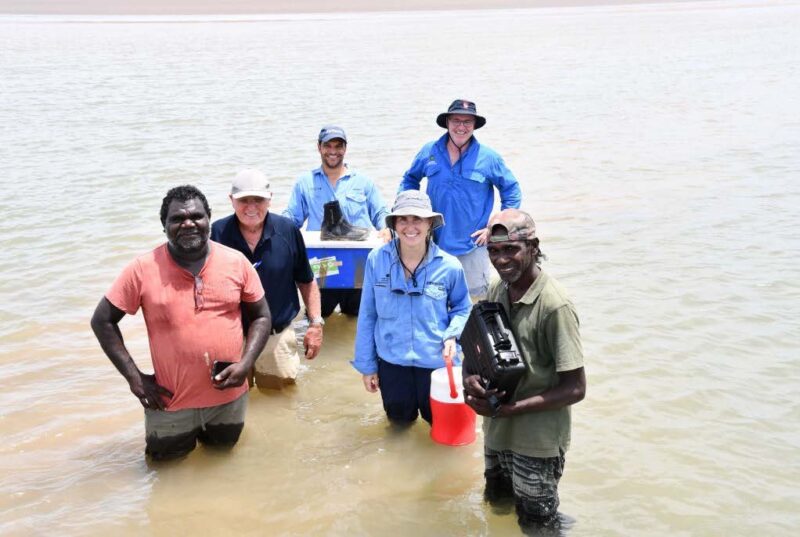 Kirnmu Black-Lip Oyster Site Assessment – TDC