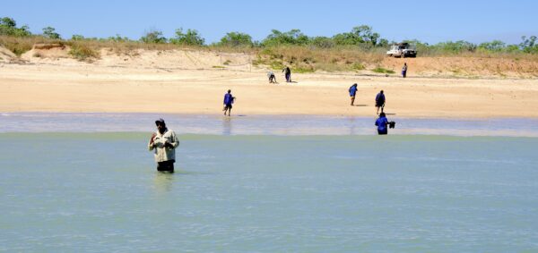 TDC – Thamarrurr Development Corporation Ltd