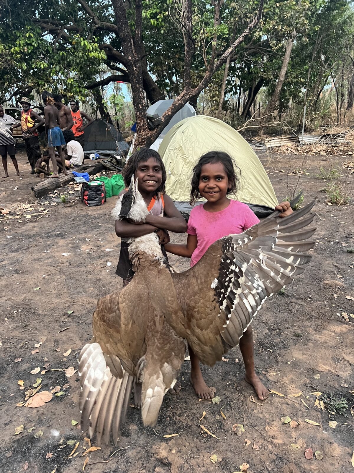 TDC – Thamarrurr Development Corporation Ltd